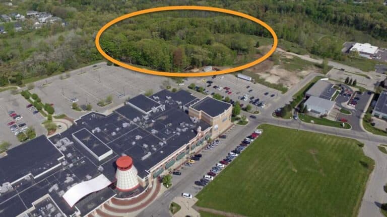 About Page - TreeRunner Adventure Parks Grand Rapids