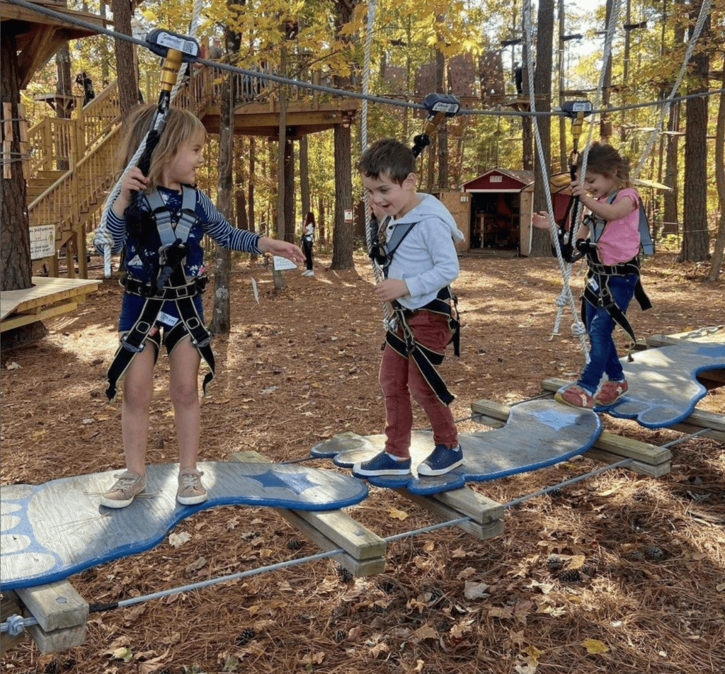 Adventure Park Obstacles - TreeRunner Adventure Park Raleigh