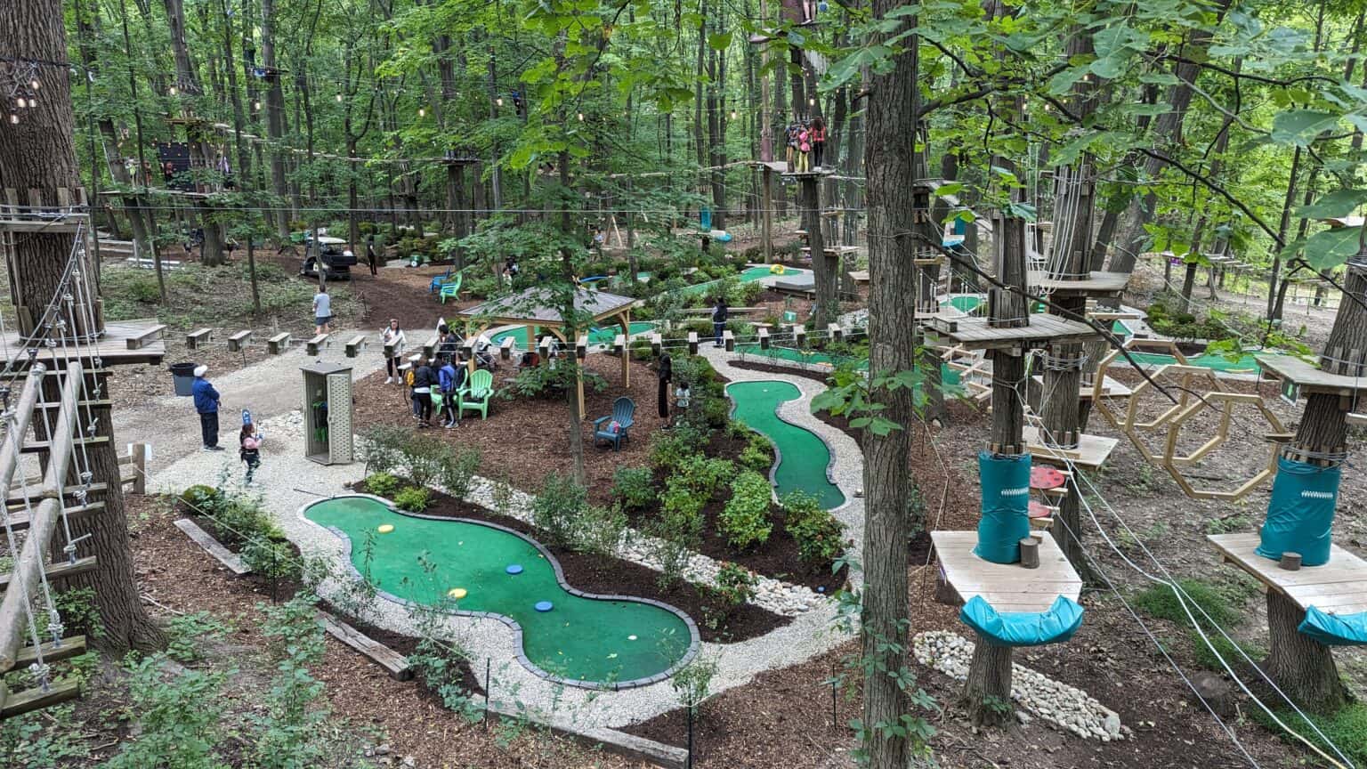 Putt Forest - TreeRunner Adventure Park West Bloomfield