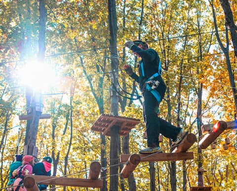 TreeRunner Parks - Learn About Aerial Adventure Parks